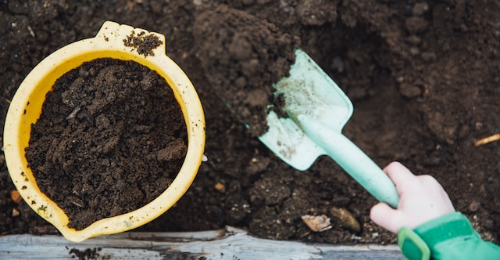 Learn About Composting Day